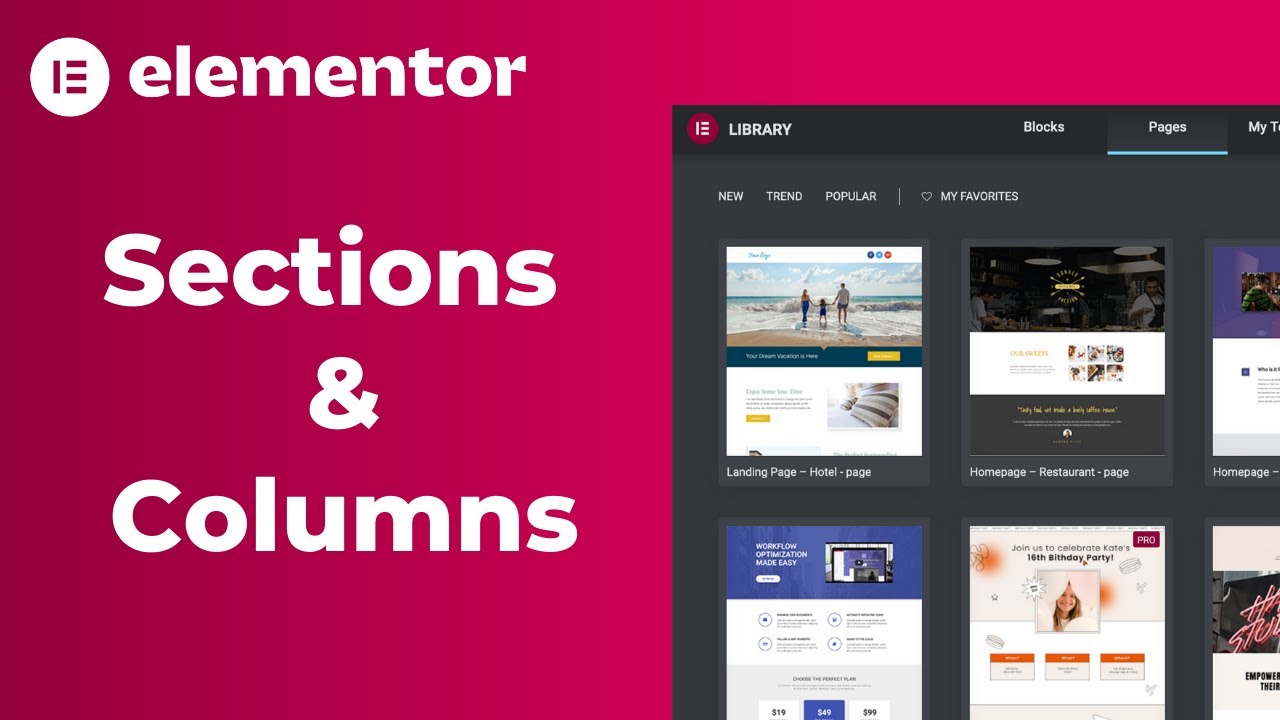Elementor Sections & Columns Tutorial | How to Create, Edit & Delete | WordPress Elementor (2022 ...